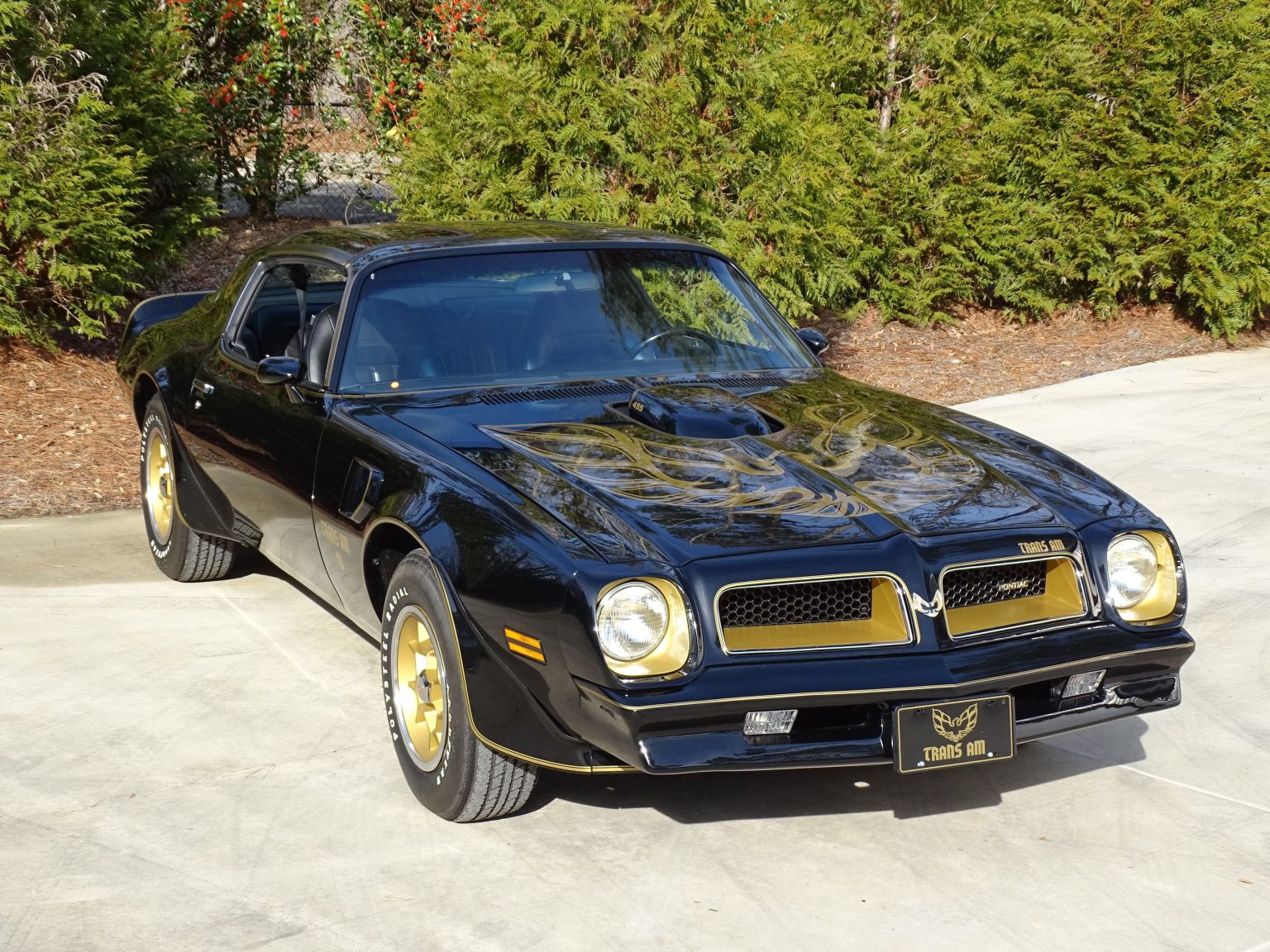 Trans Am Archives - Cars-On-Line.com