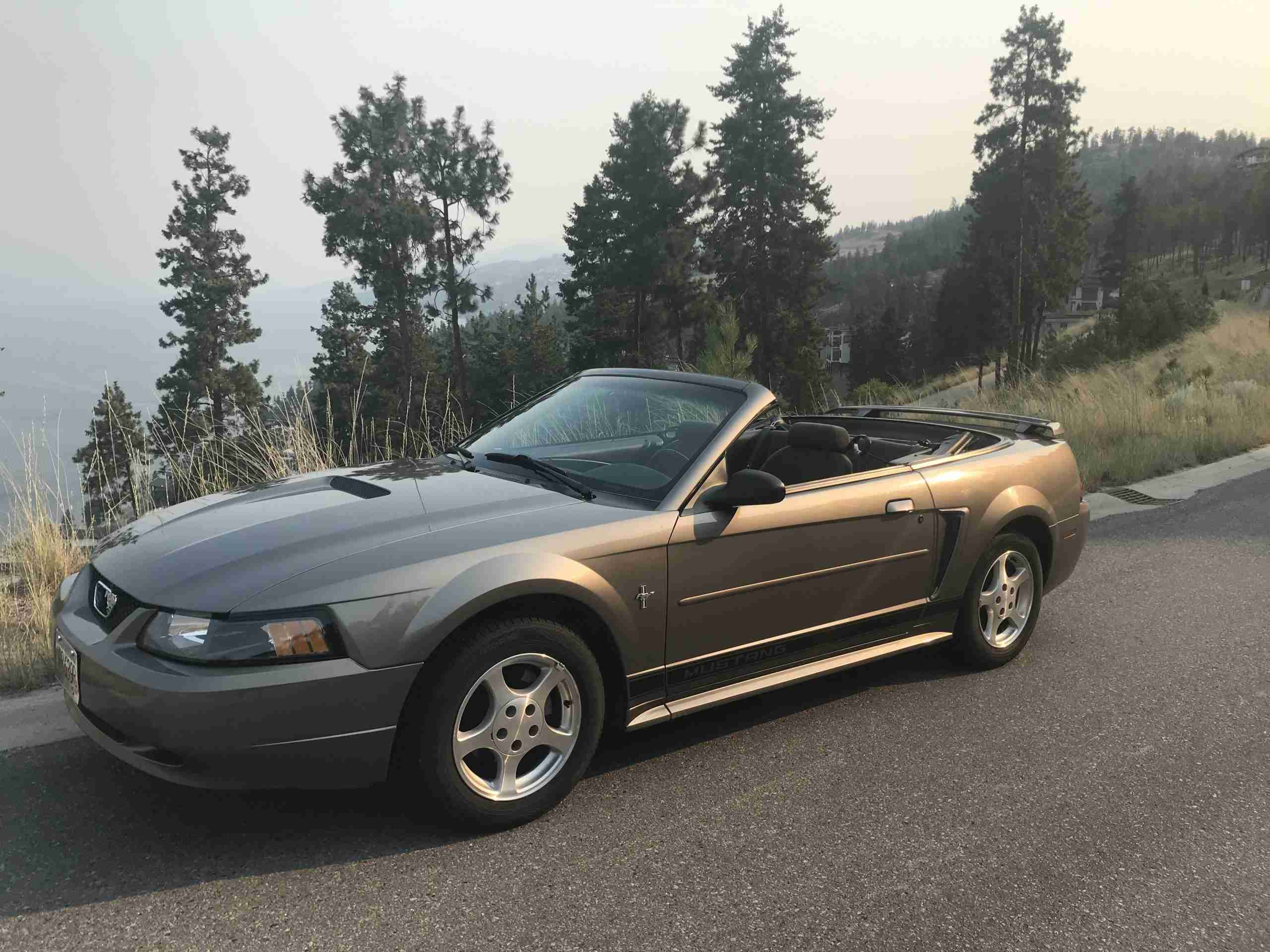 Ford Mustang Convertible - Cars-On-Line.com