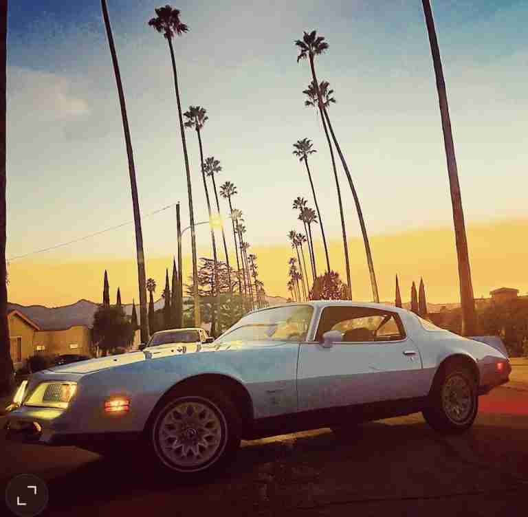 Pontiac Firebird Skybird - Cars-On-Line.com