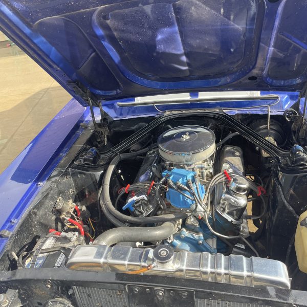 Ford Mustang T-5 - Cars-On-Line.com